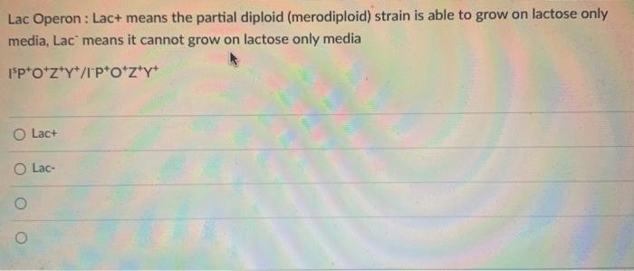 Solved Lac Operon : Lac+ means the partial diploid | Chegg.com