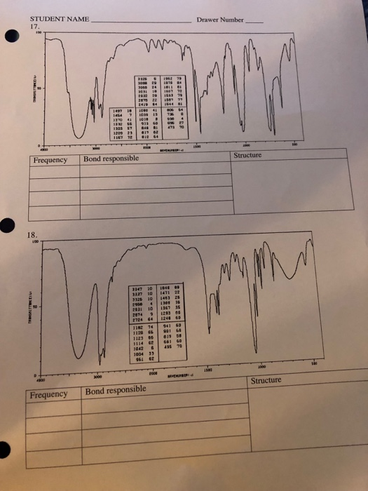 Solved STUDENT NAME Drawer Number Structure Frequency Bond | Chegg.com