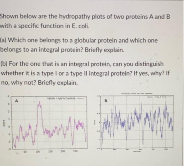 Solved Shown below are the hydropathy plots of two proteins | Chegg.com