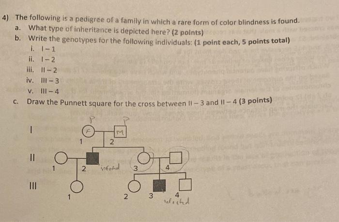 Solved 4) The following is a pedigree of a family in which a | Chegg.com