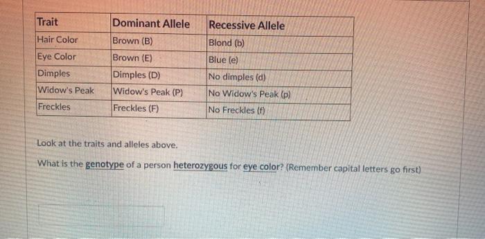 Solved Dominant Allele Trait Hair Color Eye Color Dimples | Chegg.com
