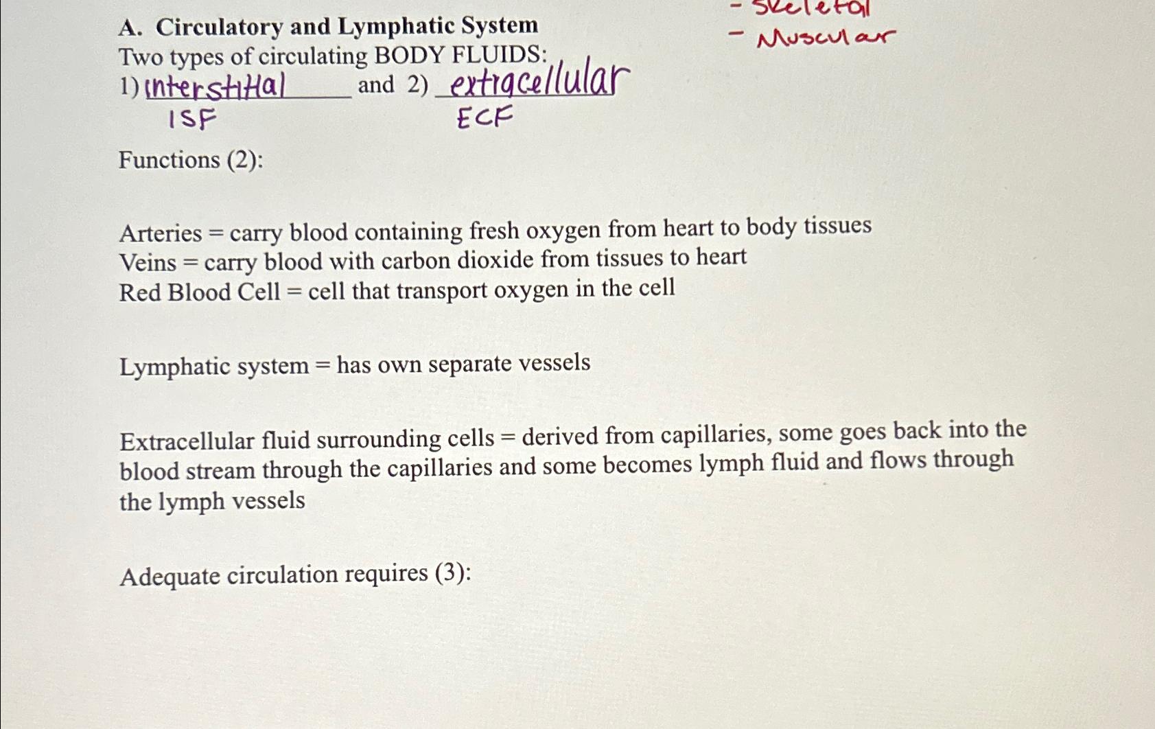 Solved A. ﻿Circulatory and Lymphatic SystemTwo types of | Chegg.com