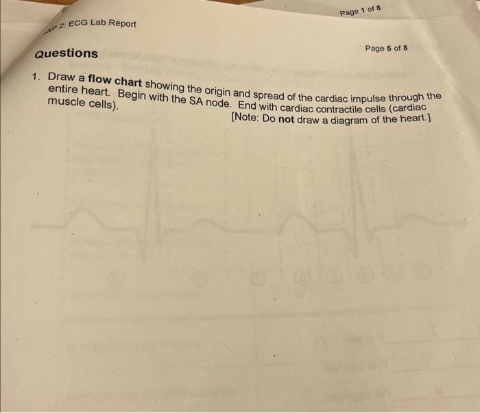 Solved 1. Draw a flow chart showing the origin and spread of | Chegg.com
