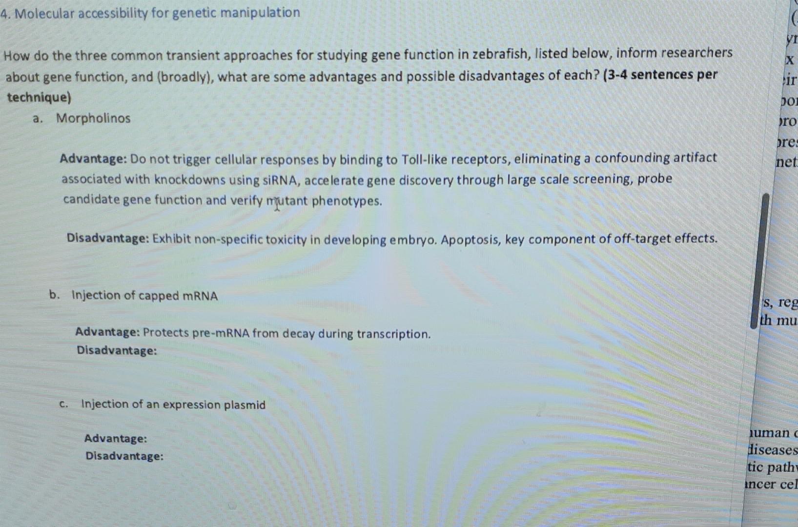 Solved 1olecular accessibility for genetic manipulation w do | Chegg.com