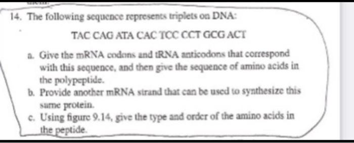 Solved 14. The following sequence represents triplets on | Chegg.com