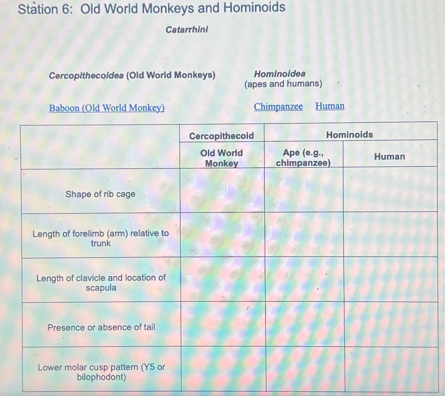 Solved Station 6: Old World Monkeys and | Chegg.com