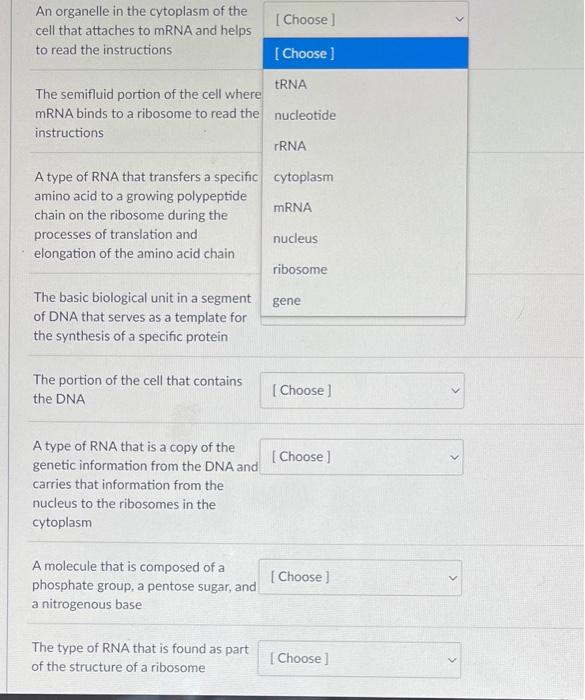 Solved proteins synthesis is process by which new proteins | Chegg.com