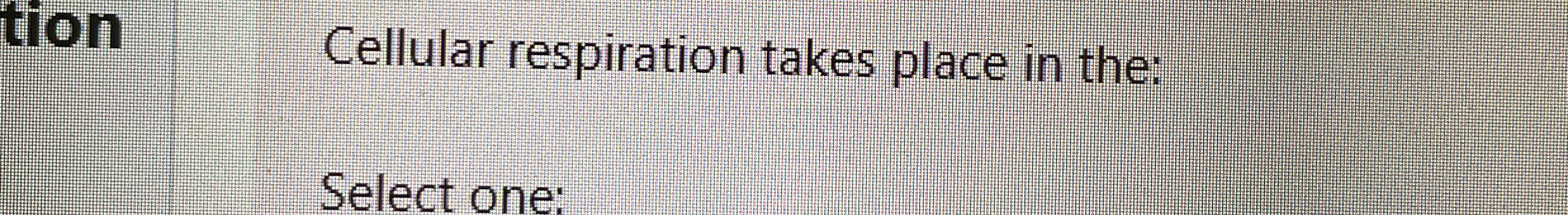 Solved Cellular respiration takes place in the:Select one: | Chegg.com