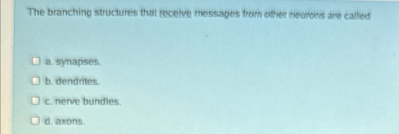 Solved The branching structures that receive thessages froth | Chegg.com
