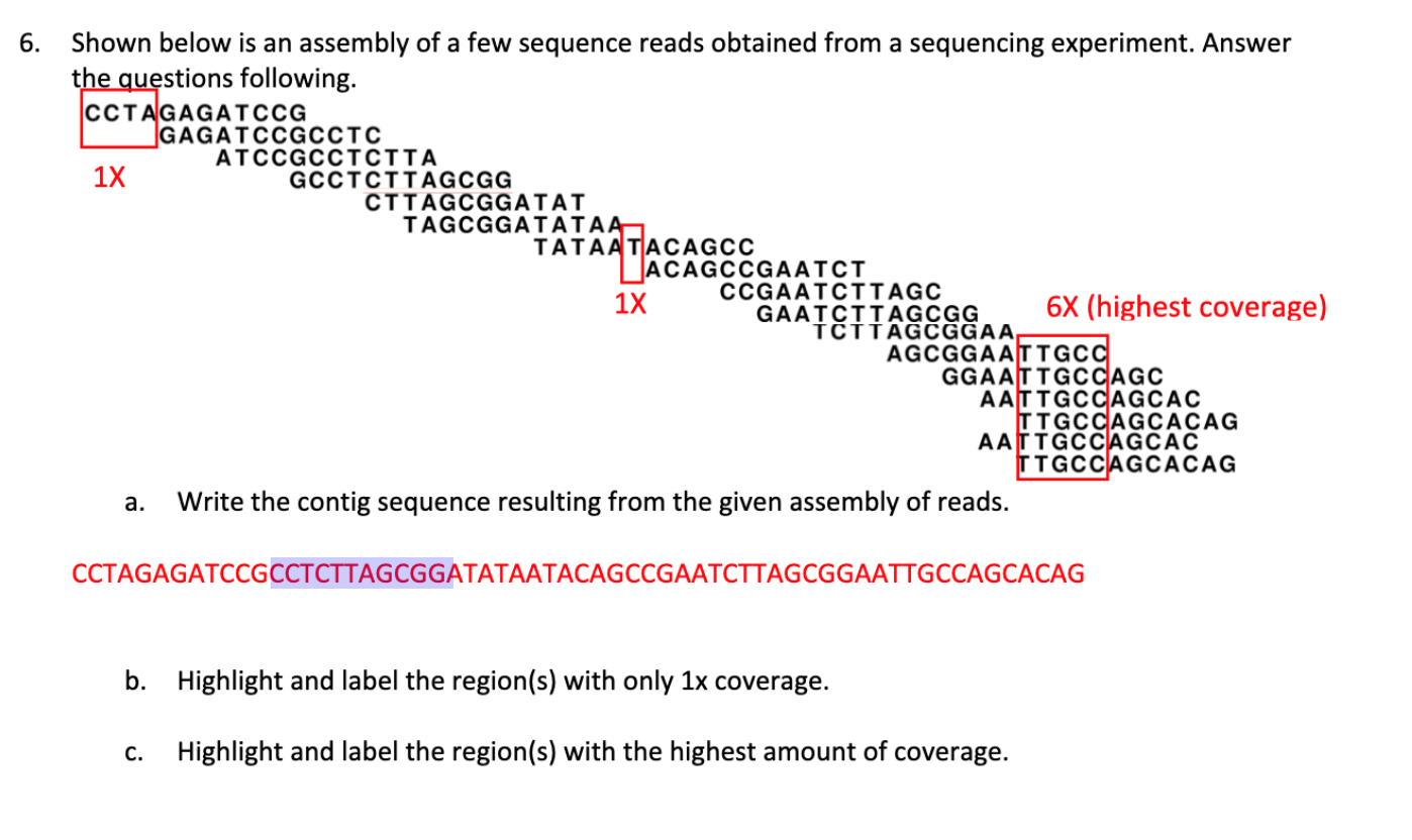 Solved explain how to ﻿write contig sequence resulting | Chegg.com