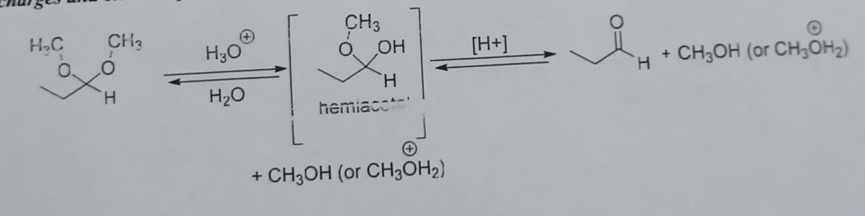 Solved Draw a mechanism for the reverse reaction which is | Chegg.com