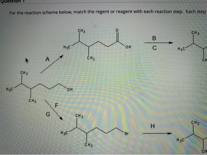 Solved For the reaction scheme below, match the regent or | Chegg.com