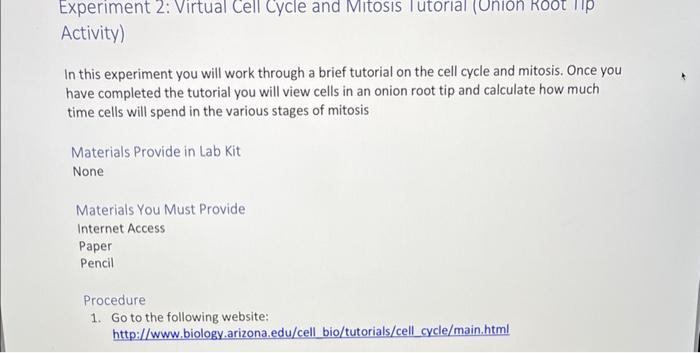 Solved Experiment 1: Process of Mitosis ( 1 hour) In this | Chegg.com