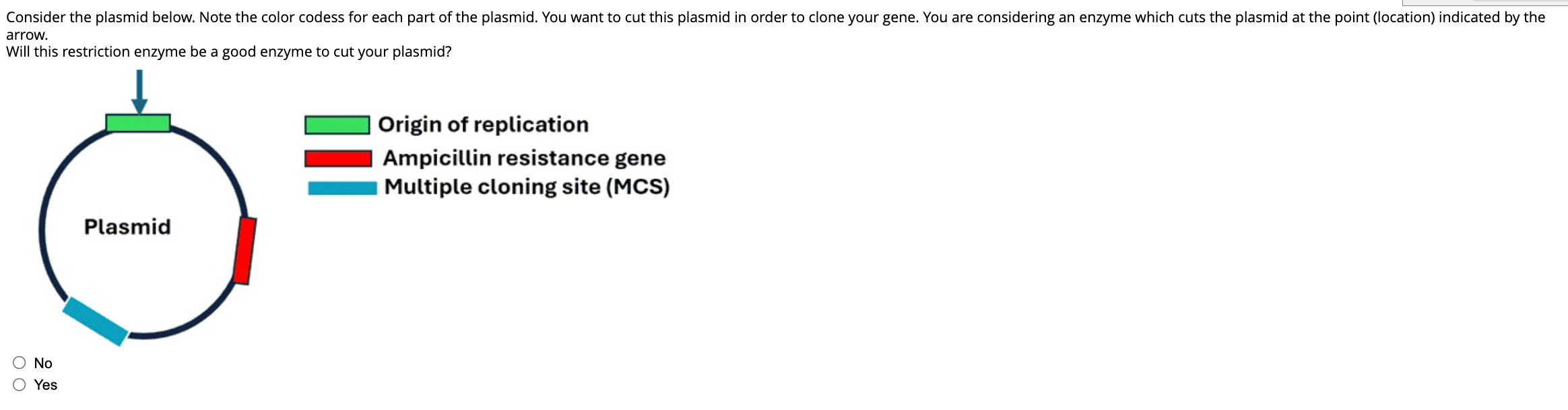 Solved Consider the plasmid below. Note the color codess for | Chegg.com
