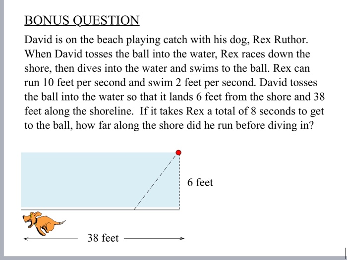 Solved BONUS QUESTION David is on the beach playing catch | Chegg.com