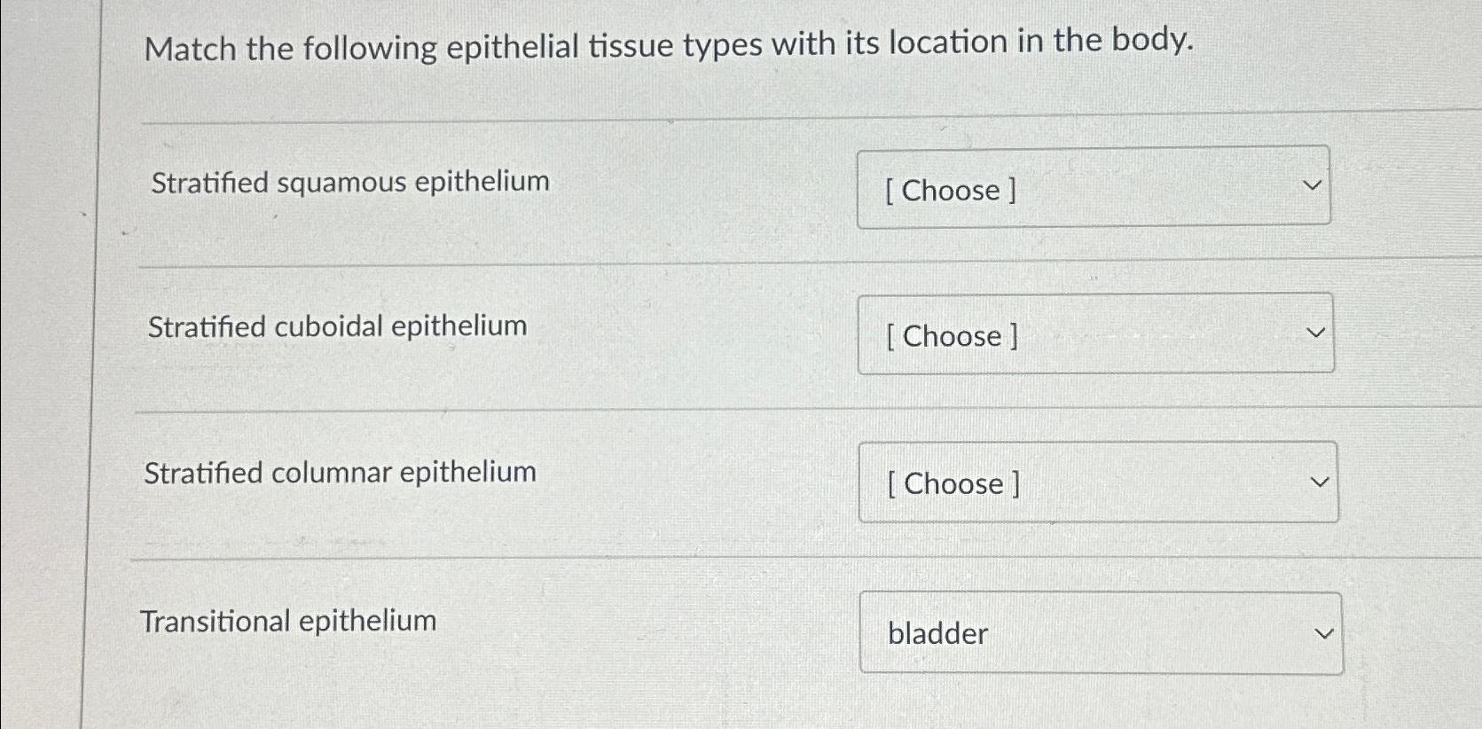 Solved Match the following epithelial tissue types with its | Chegg.com