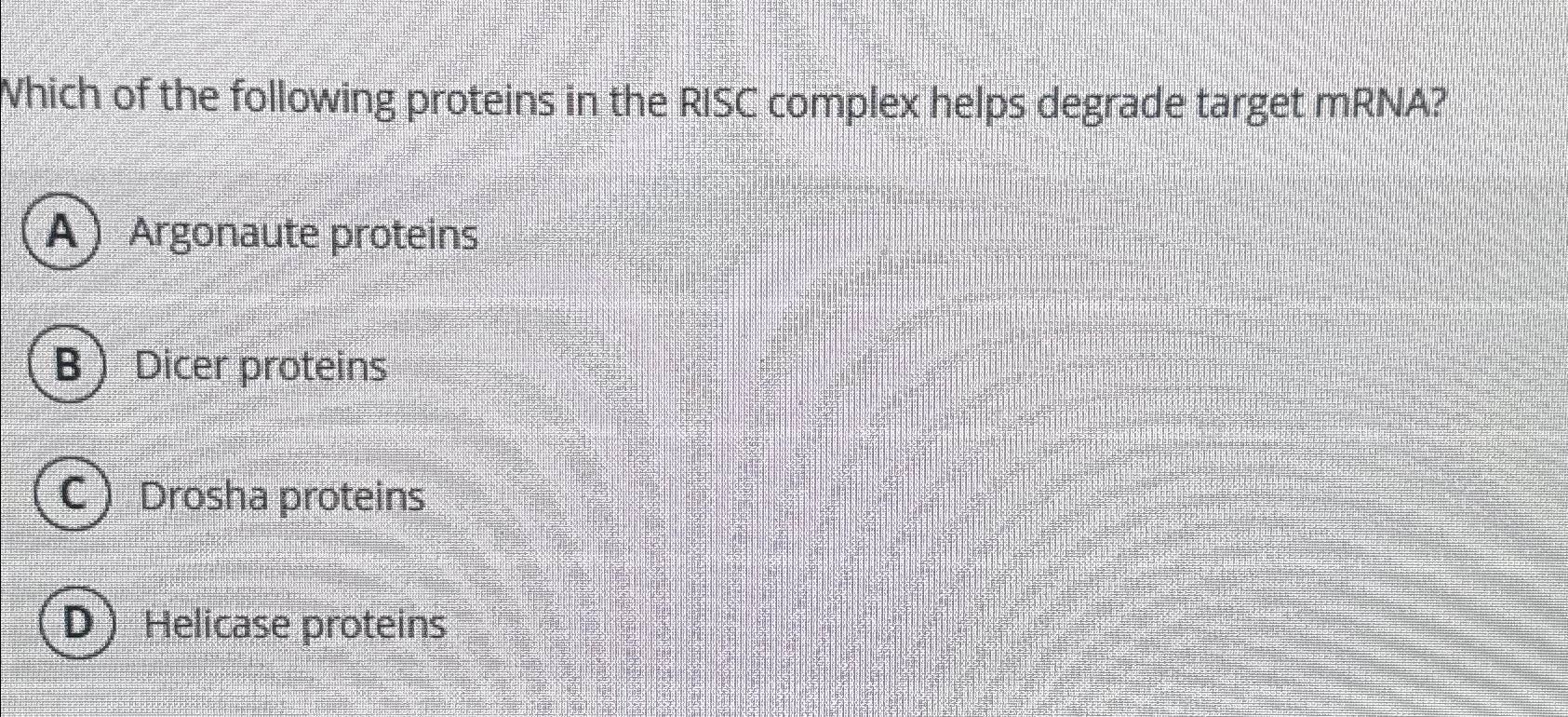 Solved Which of the following proteins in the RISC complex | Chegg.com