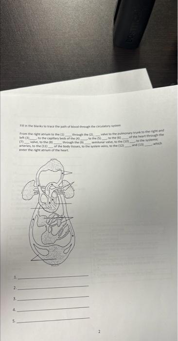 Solved (n) valve, to the is) throuph the (9) emer the ript | Chegg.com