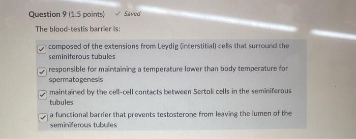 Solved The blood-testis barrier is: composed of the | Chegg.com