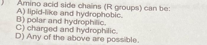 Solved Leeuwenhoek's microscopes could magnify objects | Chegg.com