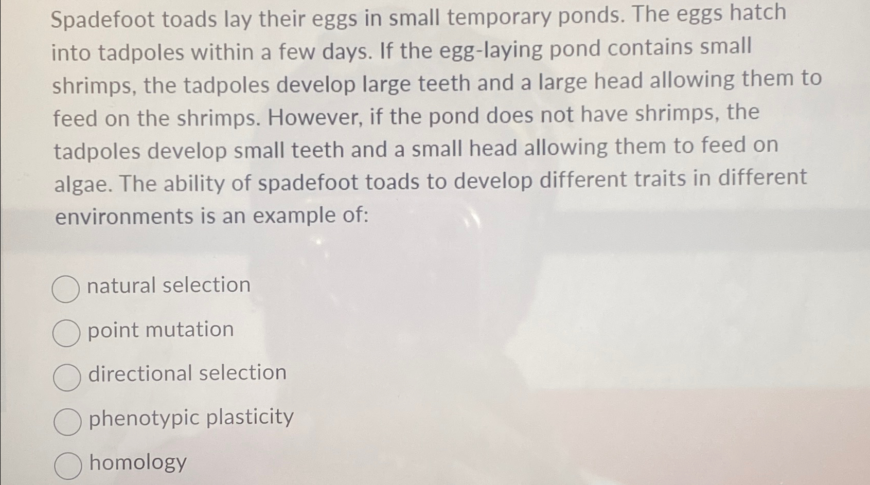 Solved Spadefoot toads lay their eggs in small temporary | Chegg.com