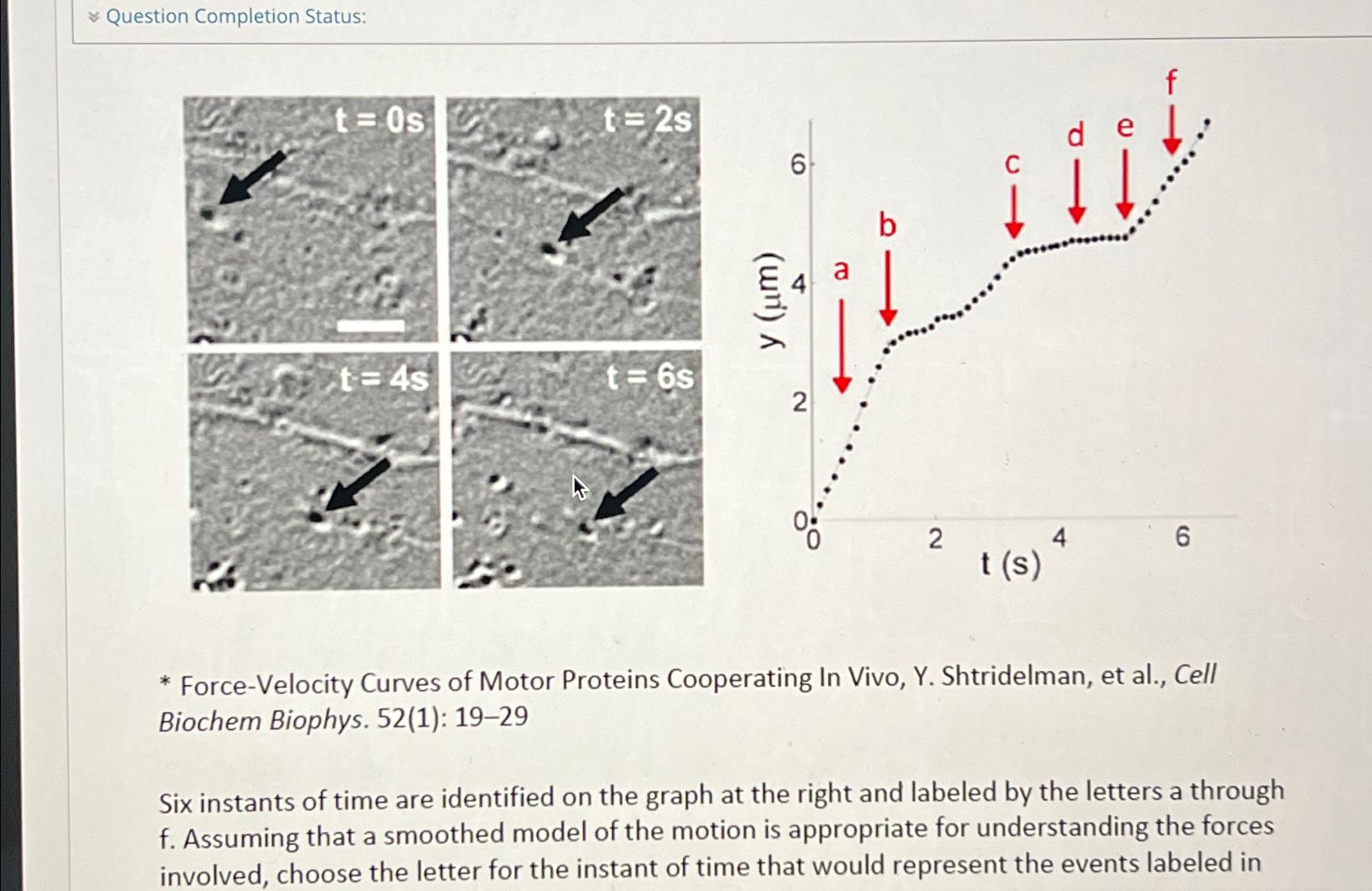 Solved Question Completion Status:Force-Velocity Curves of | Chegg.com
