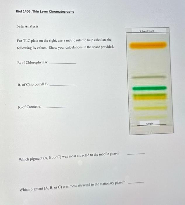 Solved Biol 1406: Thin Layer Chromatography Data Analysis | Chegg.com