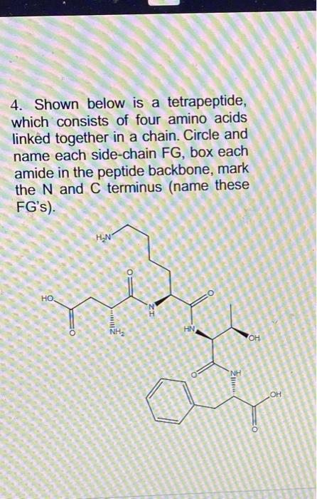 Solved 4. Shown below is a tetrapeptide, which consists of | Chegg.com