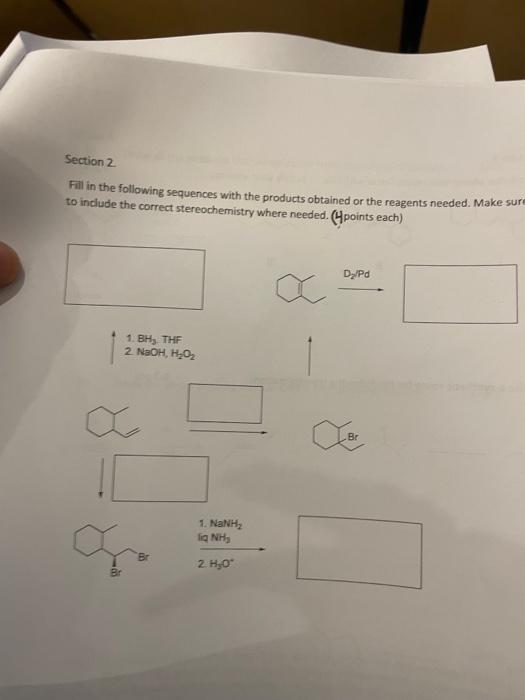 Solved Section 2 Fill in the following sequences with the | Chegg.com
