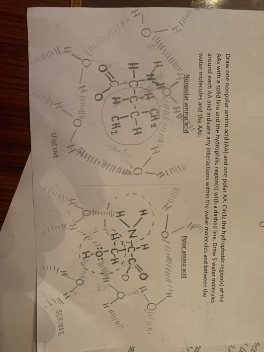 Solved C 2 Draw one nonpolar amino acid (AA) and one polar | Chegg.com