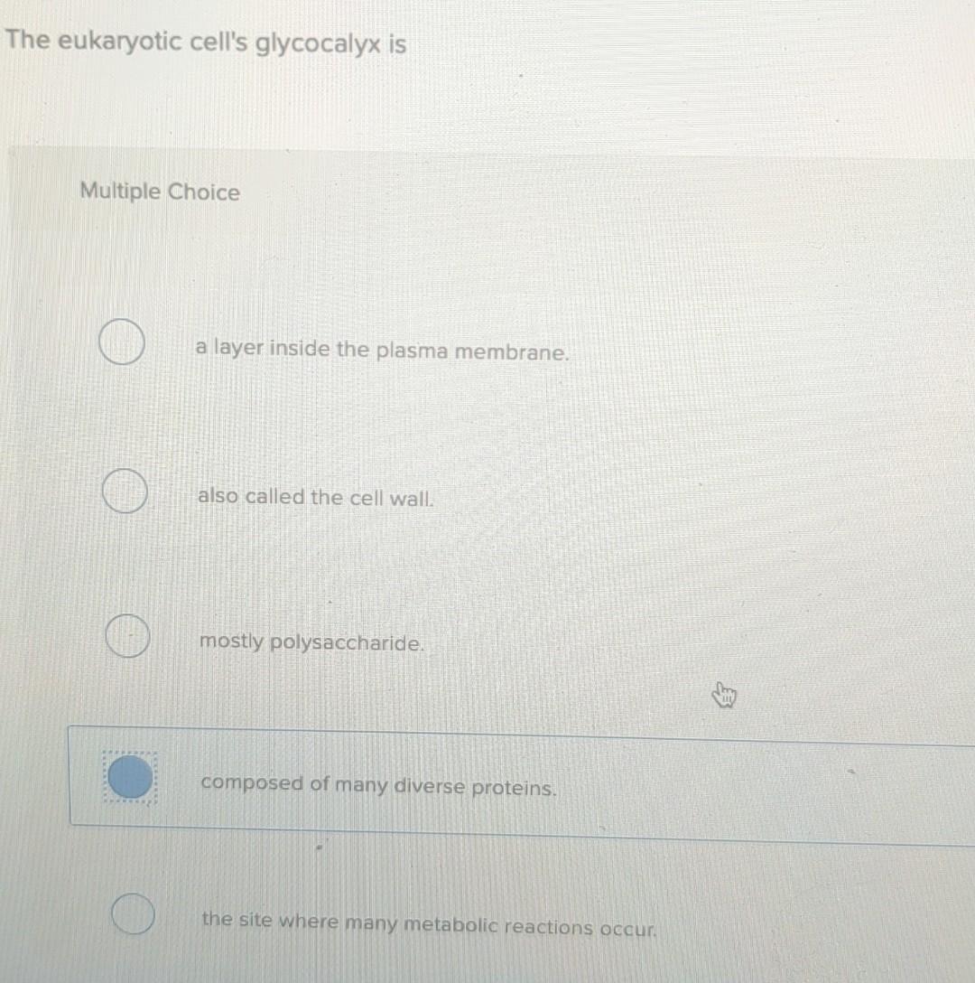 Solved The eukaryotic cell's glycocalyx is Multiple Choice a | Chegg.com