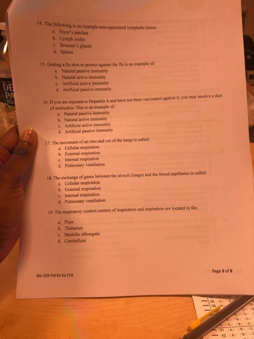 Solved 14. The following is an example non-capsulated | Chegg.com