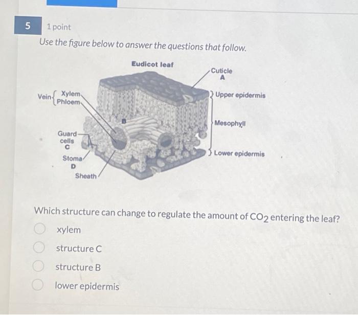 Solved Use the figure below to answer the questions that | Chegg.com