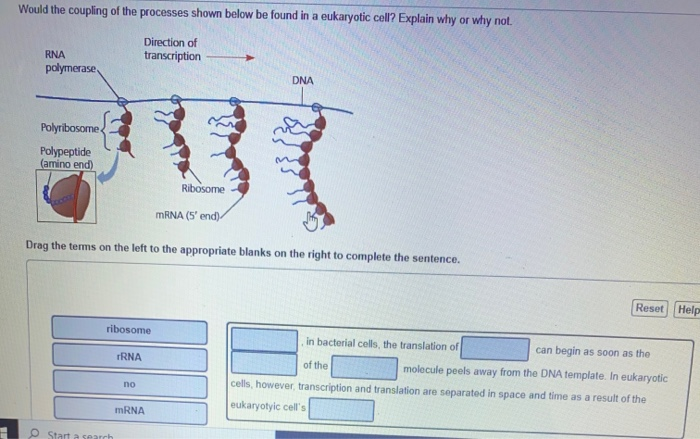 Solved Would the coupling of the processes shown below be | Chegg.com