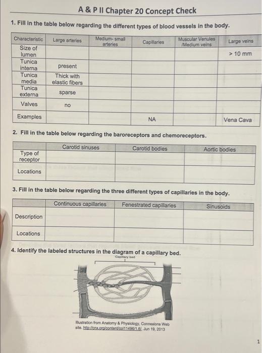 Solved 1. Fill in the table below regarding the different | Chegg.com