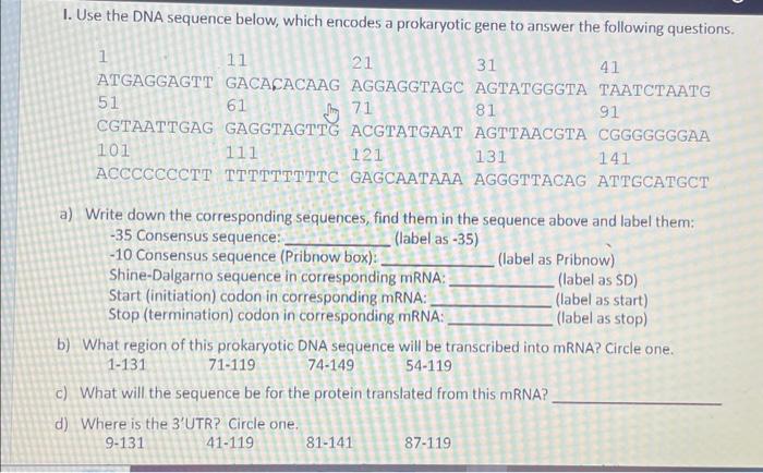Solved I. Use the DNA sequence below, which encodes a | Chegg.com