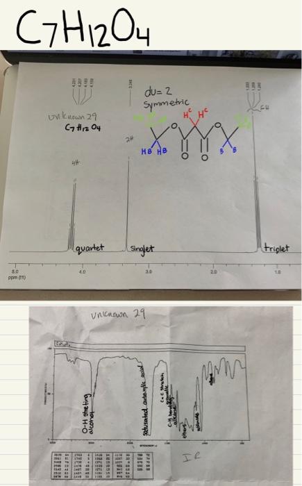 Solved C7H12O4NMR NEED STRUCTURE WITH LABEBLED HYDROGENS | Chegg.com