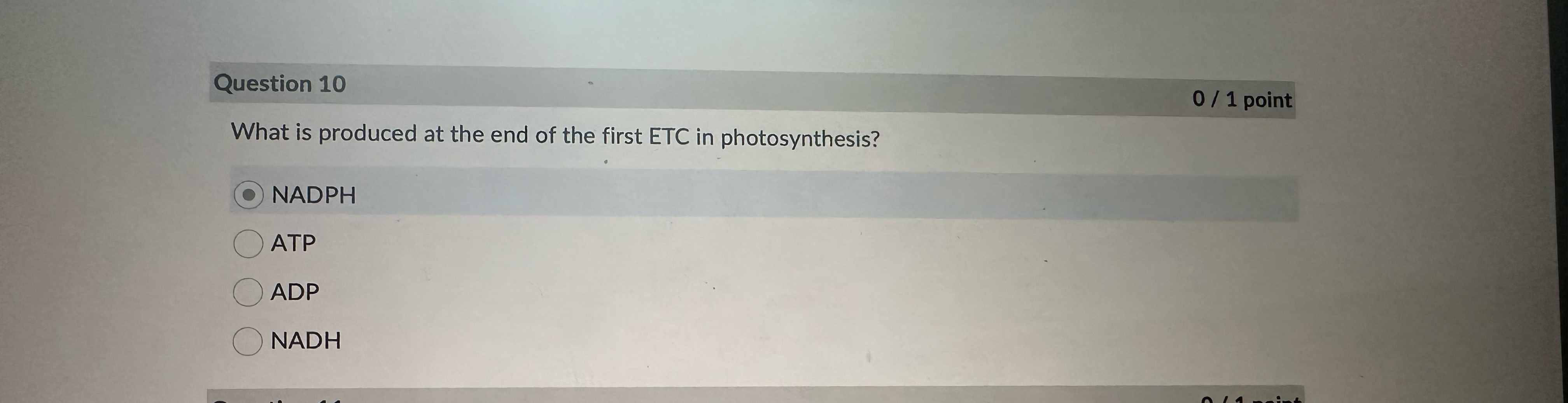 Solved Question 100 / 1 ﻿pointWhat is produced at the end of | Chegg.com