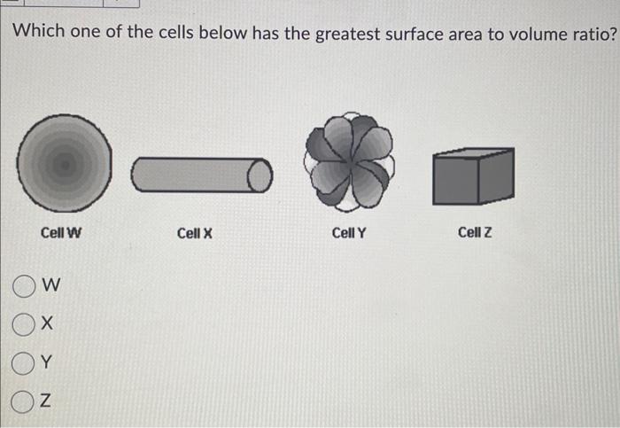 Solved Which one of the cells below has the greatest surface | Chegg.com