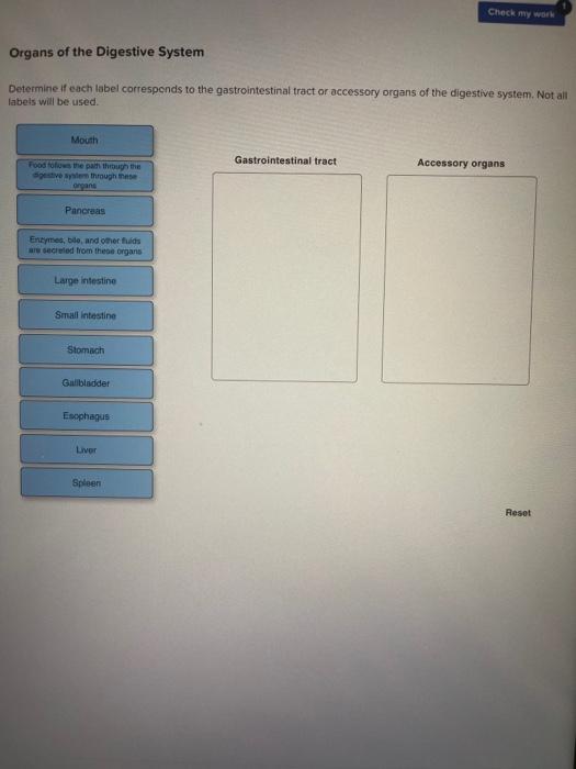 Solved Micronutrient Absorption Each of the following | Chegg.com
