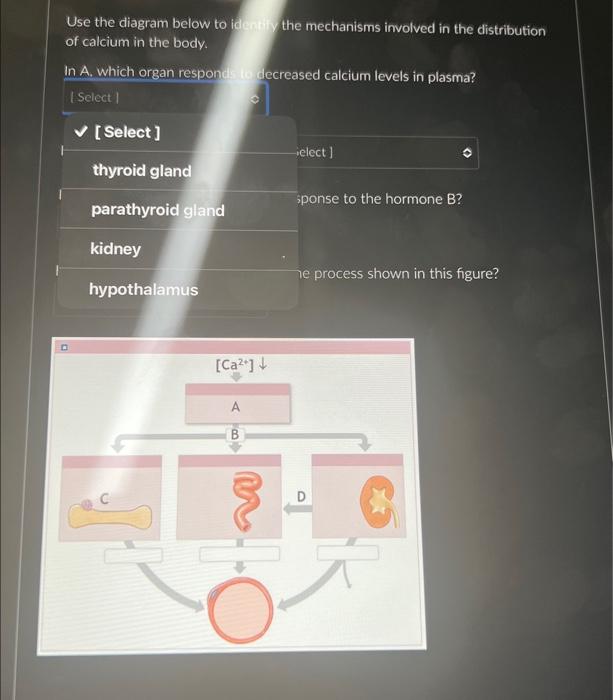 Solved Use the diagram below to identify the mechanisms | Chegg.com