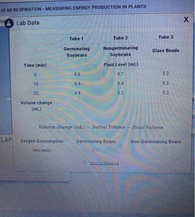solved-ular-respiration-measuring-energy-production-in-chegg