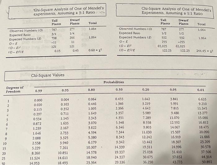 Solved \begin{tabular}{llll|} \hline \multicolumn{5}{c|}{ | Chegg.com
