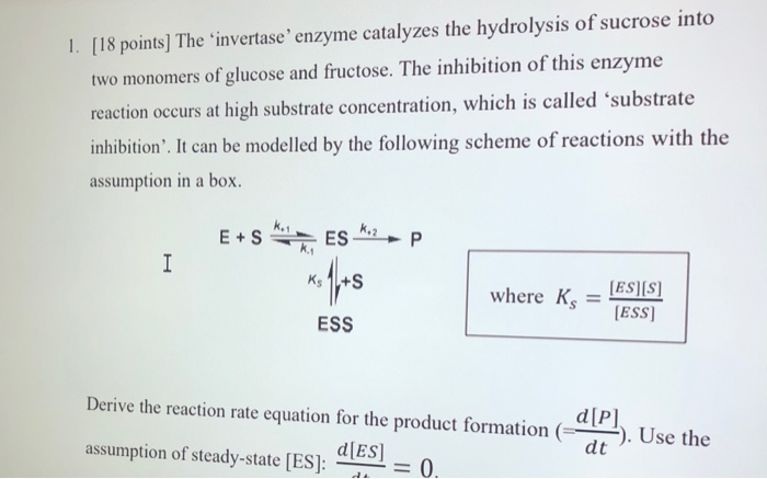 Solved 1. [18 points] The 'invertase'enzyme catalyzes the | Chegg.com