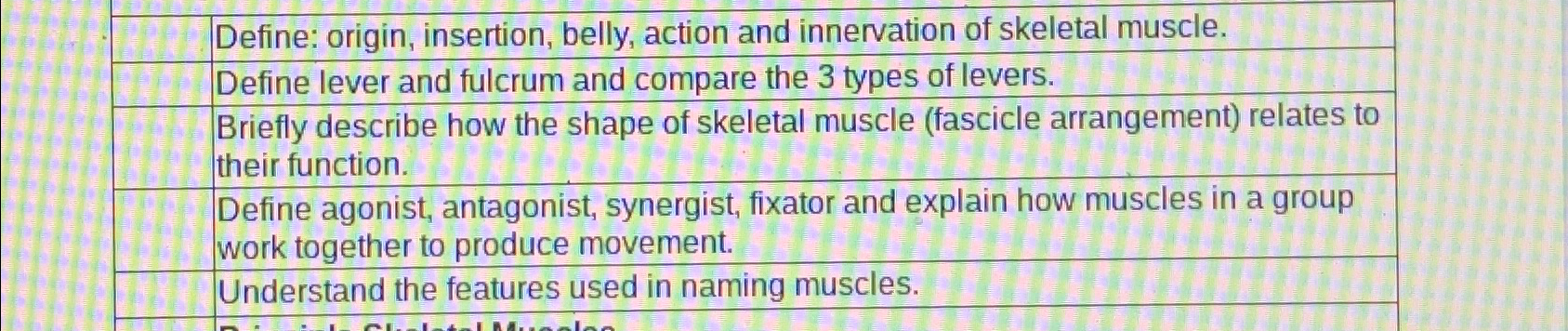 Solved Define: origin, insertion, belly, action and | Chegg.com