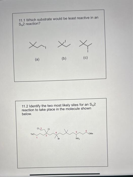 Solved 11.1 Which substrate would be least reactive in an | Chegg.com