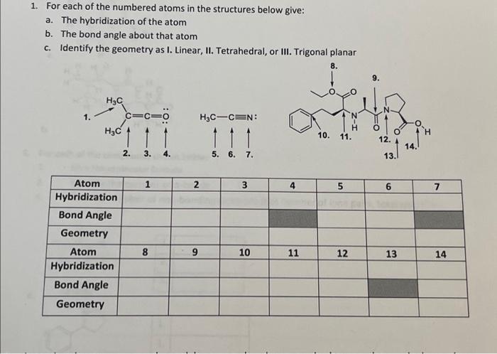 Solved 1. For each of the numbered atoms in the structures | Chegg.com