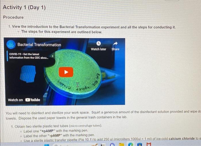 1. View the introduction to the Bacterial | Chegg.com