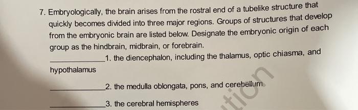 Solved 7. Embryologically, the brain arises from the rostral | Chegg.com