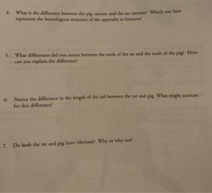 Solved 4. What is the difference between the pig caecum and | Chegg.com